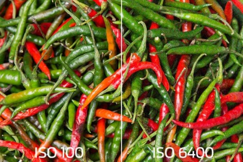 What Is ISO? + ISO Chart