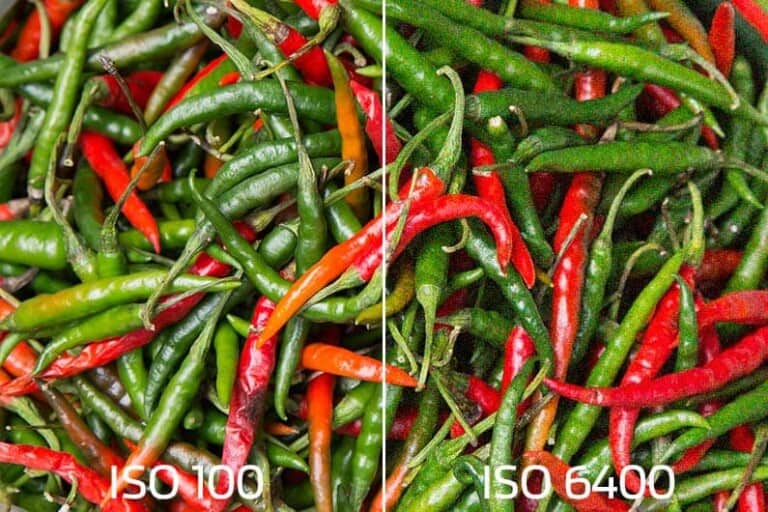 What Is ISO? + ISO Chart