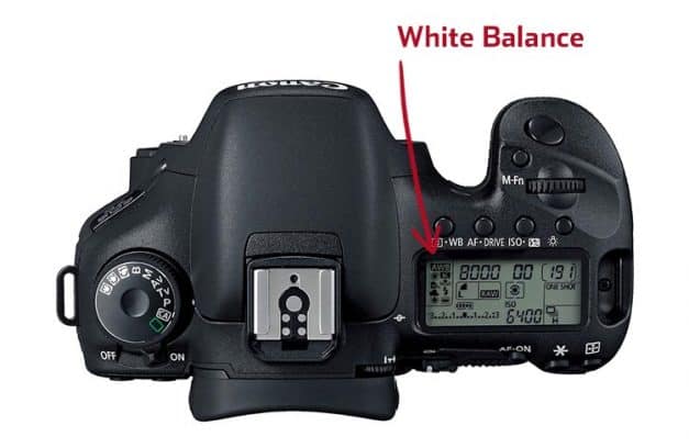 What Is White Balance? - Shutter Muse