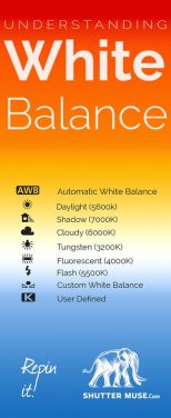 What Is White Balance? - Shutter Muse