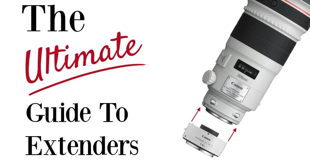 The Ultimate Guide To Extenders Or Teleconverters