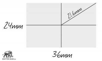 How To Read An MTF Chart