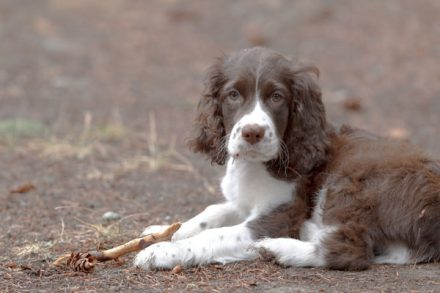 How To Read An MTF Chart