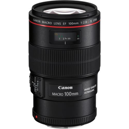 What Is A Macro Lens Used For When Taking Photographs What Is A Macro Lens Used For When Taking Photographs