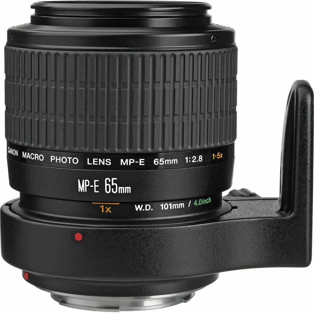 What Is An MP-E Lens?