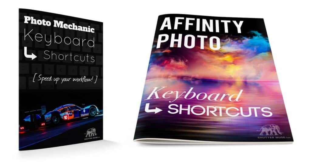 New Freebie Download Available