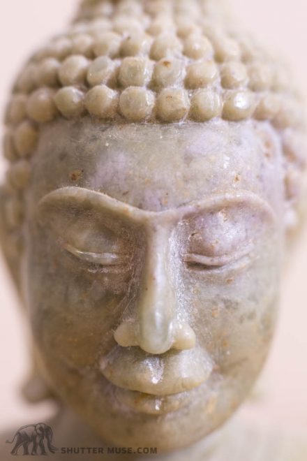 The Ultimate Guide to Extension Tubes