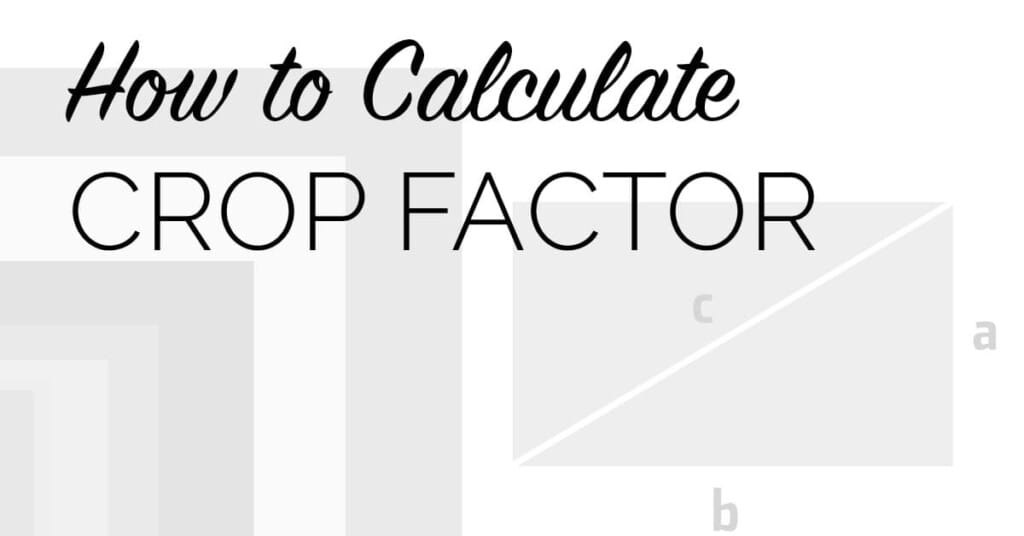 What Is Crop Factor and How Do You Calculate It?