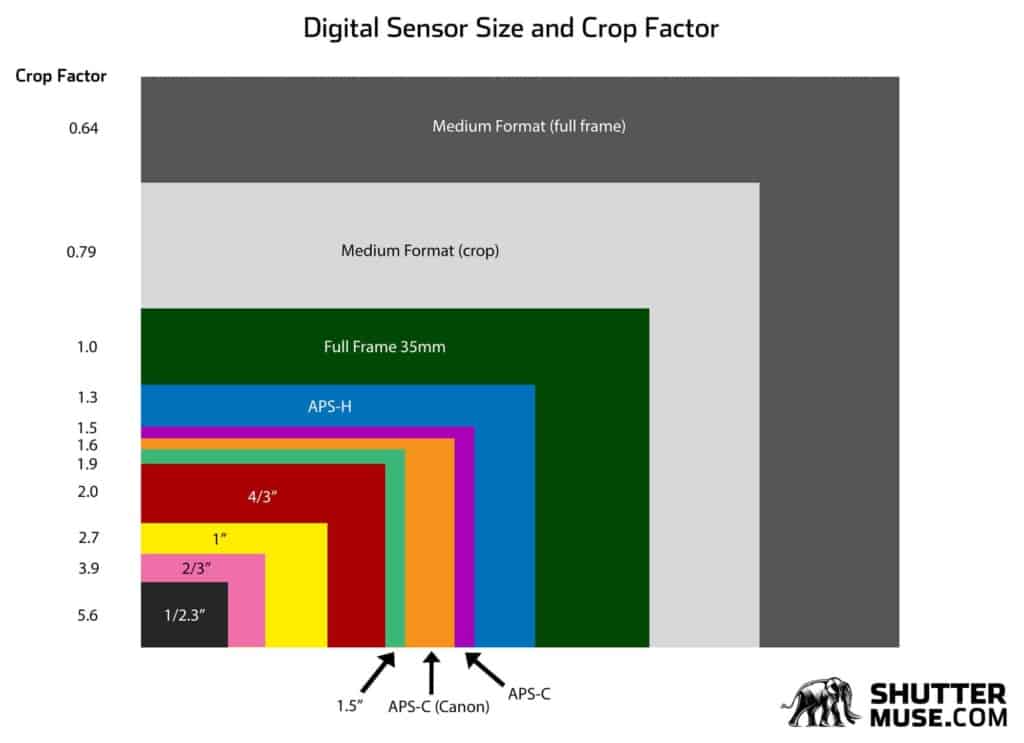 What Is Crop Factor and How Do You Calculate It?
