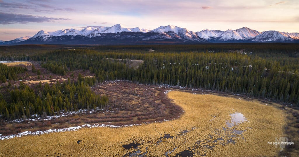 Photography ISO Chart