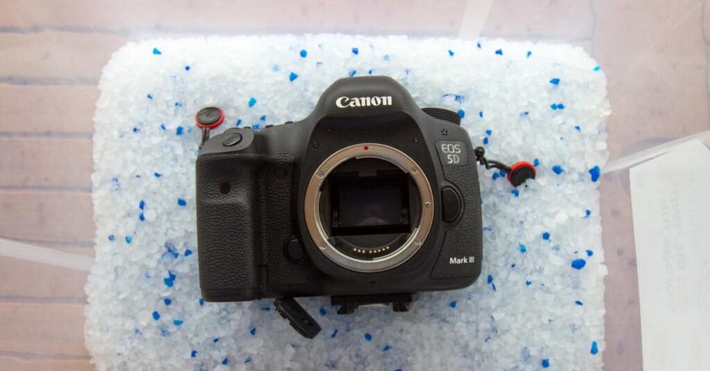 How to Revive a Camera That Got Wet (Easy If You Have a Cat)