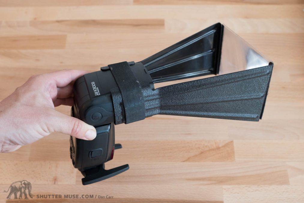 Using Flash For Wildlife Photography - Shutter Muse