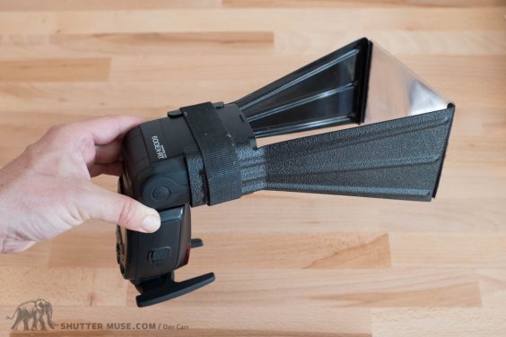 Using Flash For Wildlife Photography - Shutter Muse