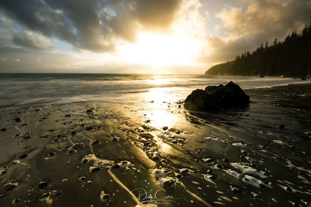 How to Add a Signature Watermark to Your Photos in Lightroom Classic