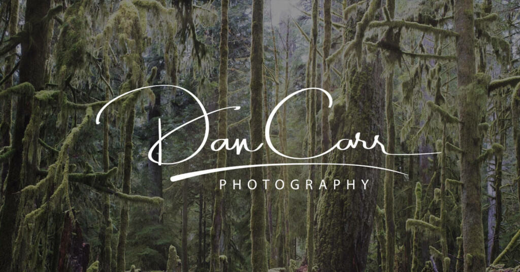 Review: Getting a Photography Logo Created by Photologo