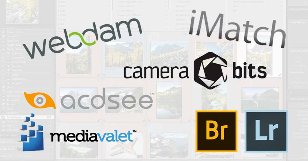 What Is ISO? + ISO Chart