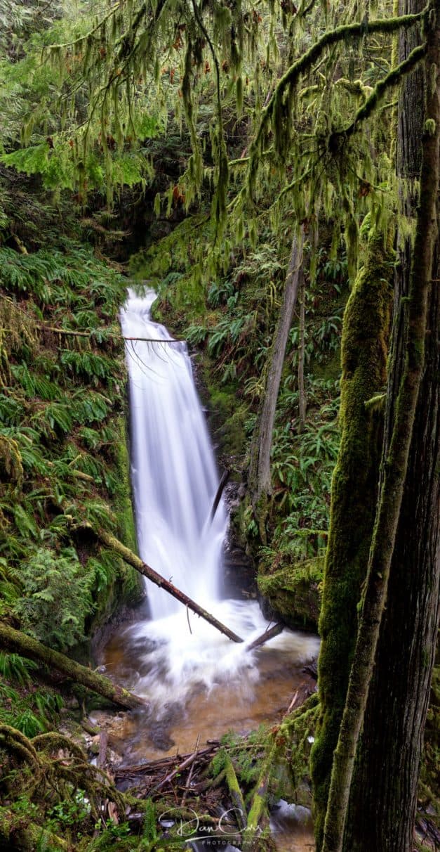 What is Back Button Focus and How Do You Set It Up On Your Camera?