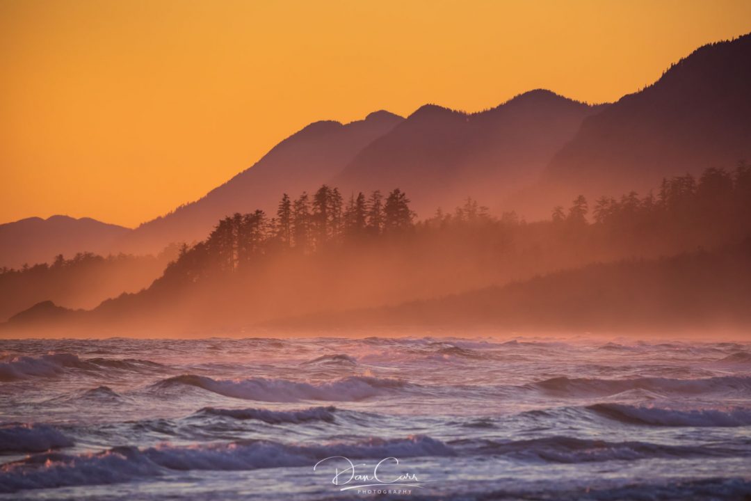 About Dan and Shutter Muse - Shutter Muse