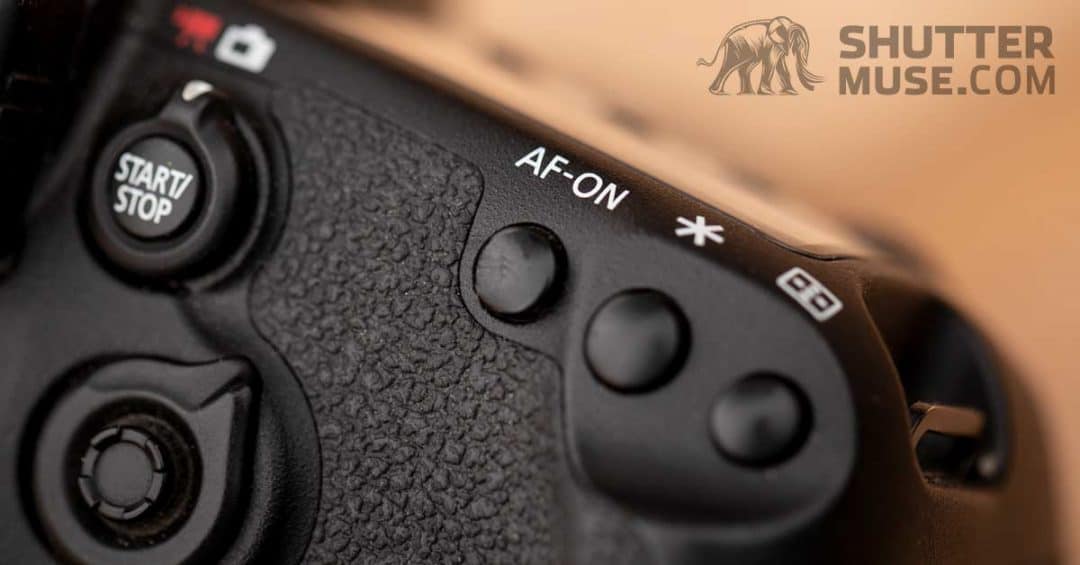 What is Back Button Focus and How Do You Set It Up On Your Camera?