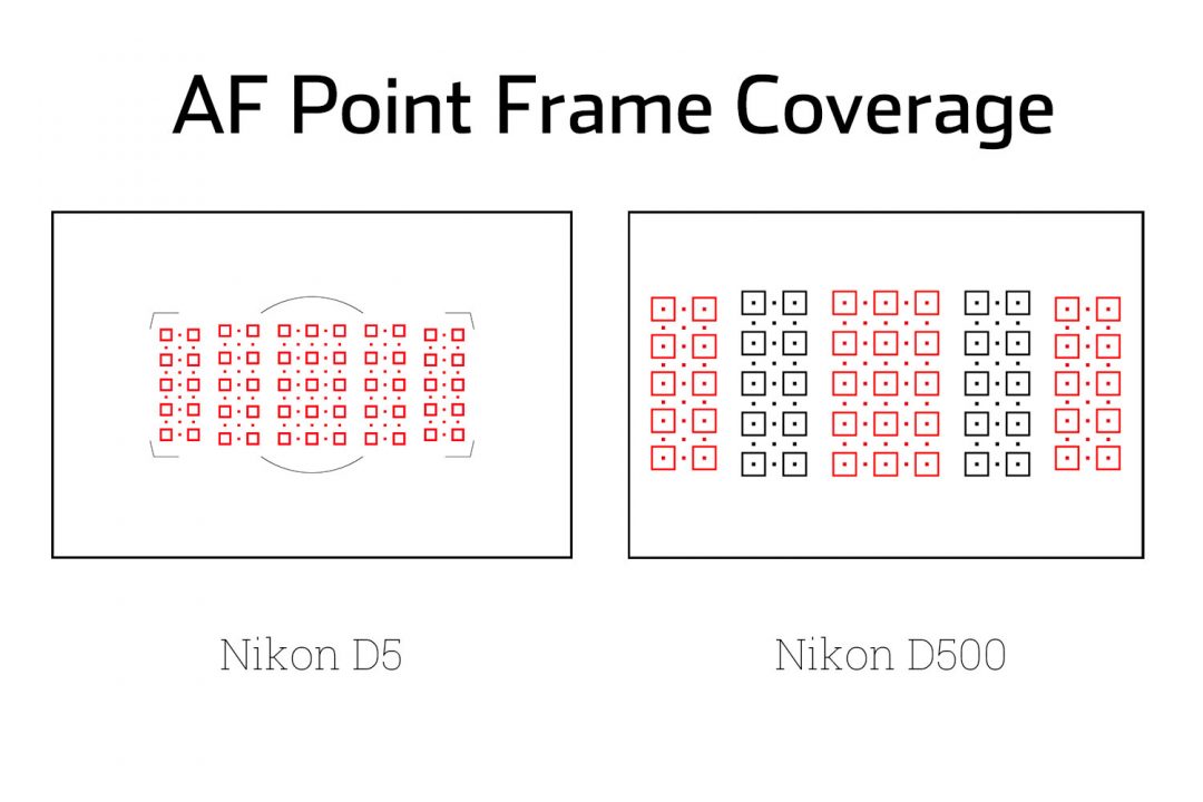 Nikon D500 and Nikkor 200-500mm f/5.6 - Nikon's Ultimate Wildlife Combo?