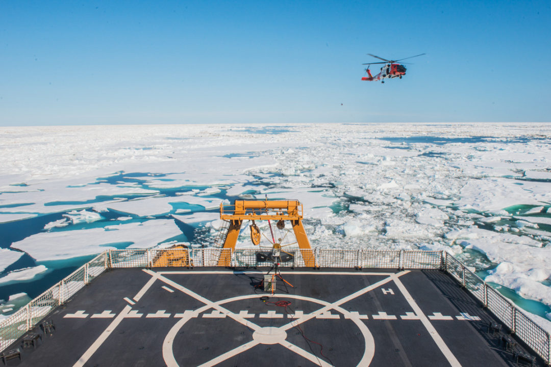 The Esther Horvath Interview - Polar Photojournalist