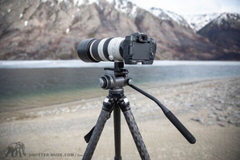 Every Type of Tripod Head Explained by a Professional