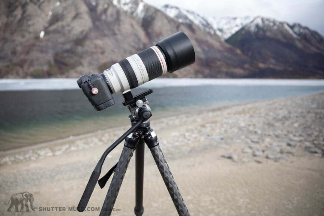 Gitzo 2-Way Fluid Head Review (Model GHF2W) - Can It Live Up To The ...