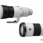 8 Pieces of Essential Macro Photography Gear