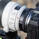 Canon 200-400 f/4 L IS Review - Bears of Vancouver Island