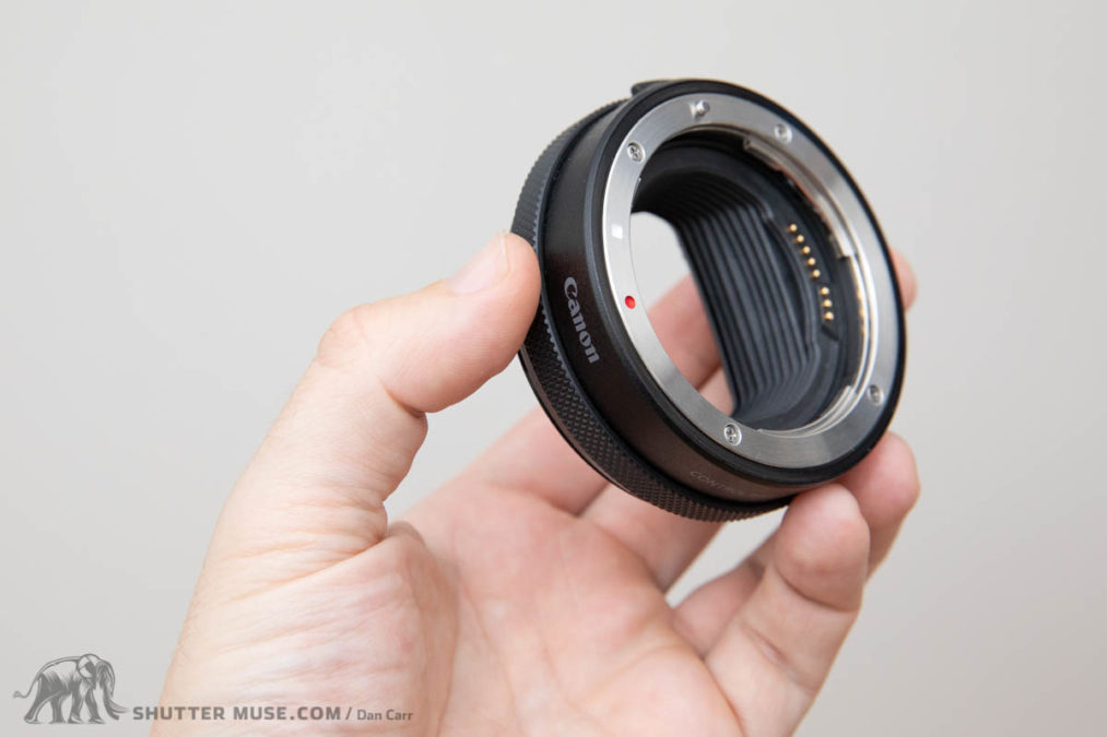 Can You Use EF Lenses On The Canon R5 and R6?