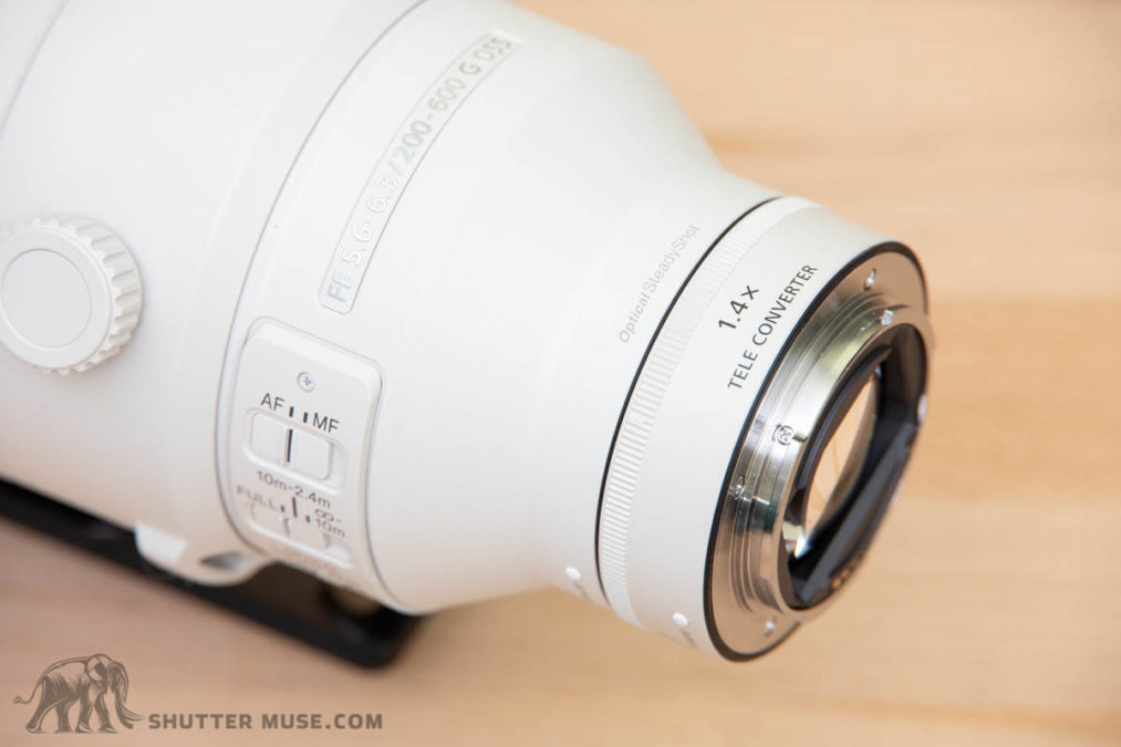 The Ultimate Guide To Extenders Or Teleconverters