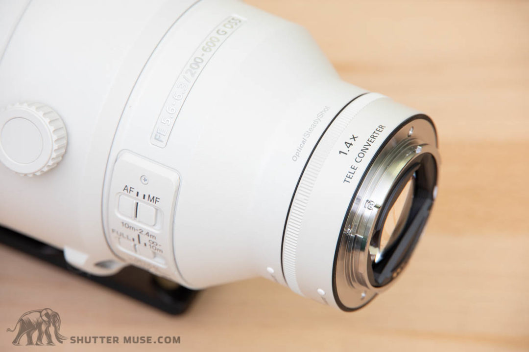 The Ultimate Guide To Extenders Or Teleconverters