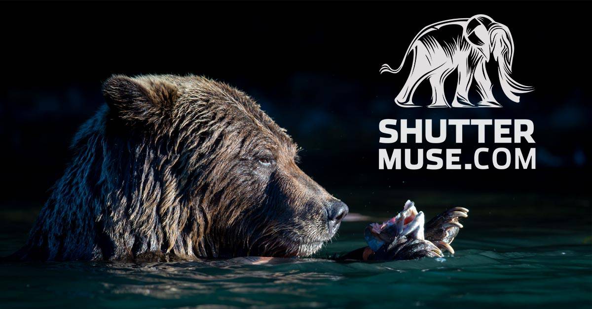 sound devices Archives - Shutter Muse