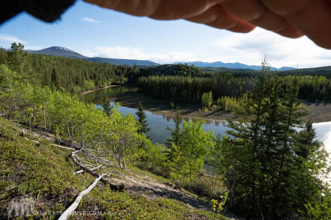 An Easy Trick to Remove Lens Flare From Your Photos