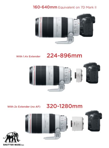 Using The Canon EF 100-400 f/4.5-5.6 L IS II With a 1.4x Extender - You ...