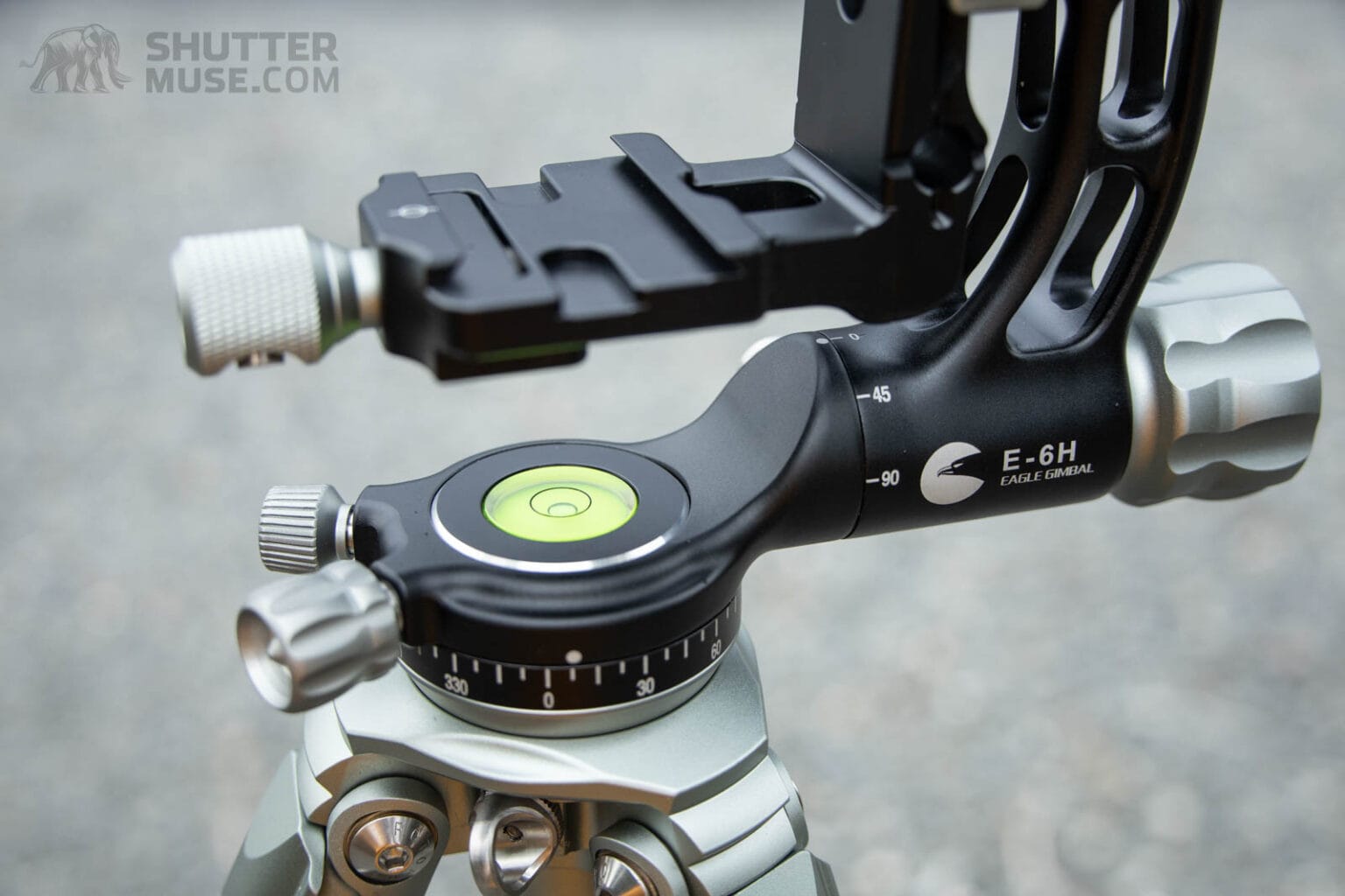 9 Essential Pieces Of Wildlife Photography Gear (+ One Myth!)