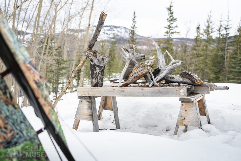 The Ultimate Guide to Better Backyard Bird Photography