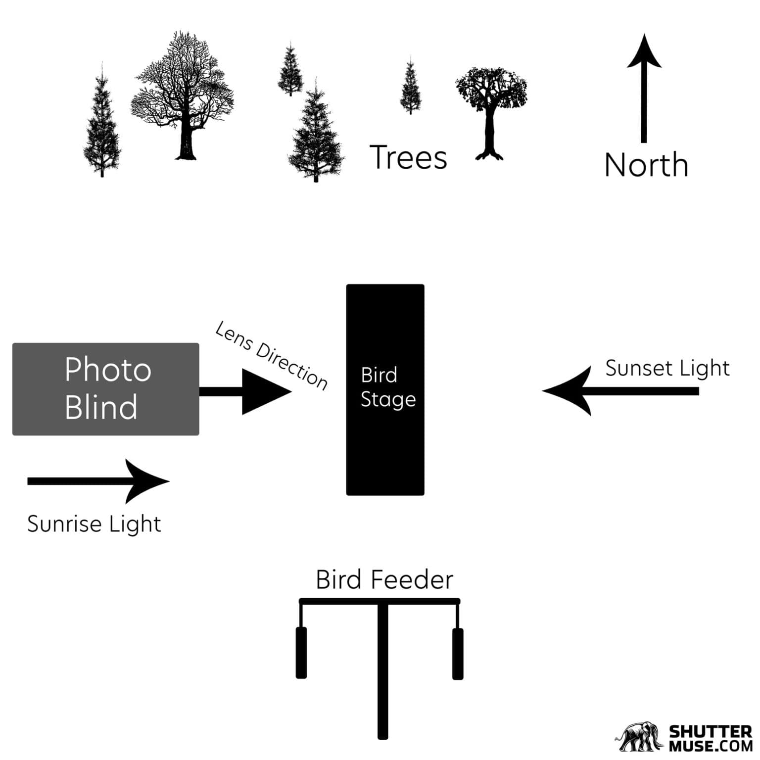 The Ultimate Guide to Better Backyard Bird Photography