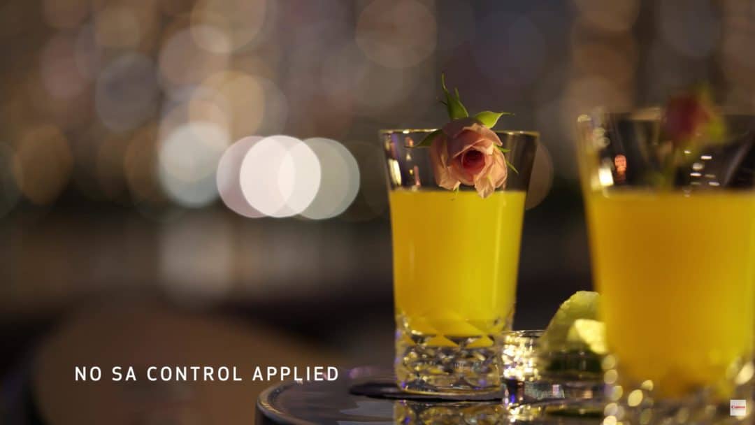 What is SA Control on Canon Lenses?