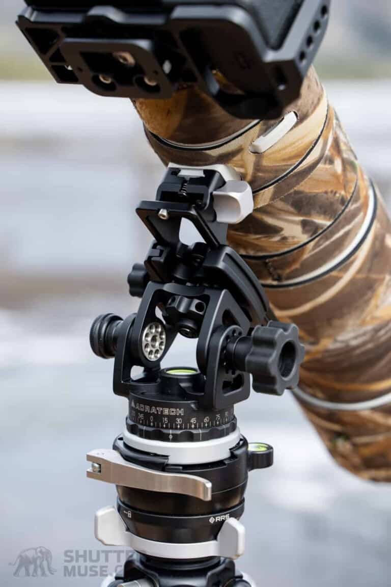 Acratech Long Lens Head - Can a Simple Tilt Head Solve Your Problems?