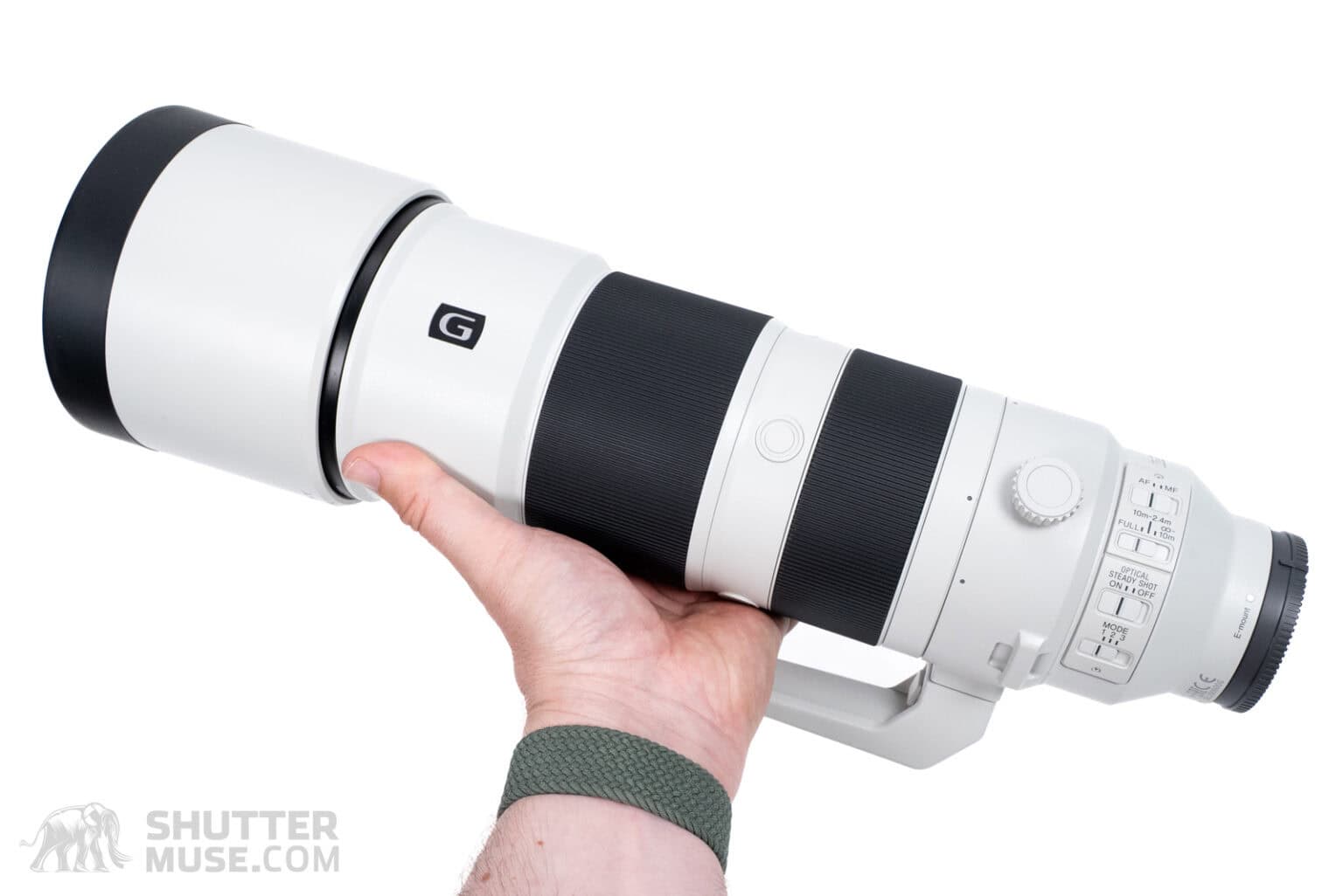 10 Top Tips for Photographing Wildlife from a Boat