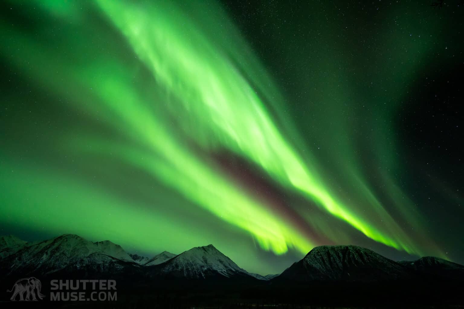 Best Aurora Forecast Apps to Help Your Northern Lights Photography