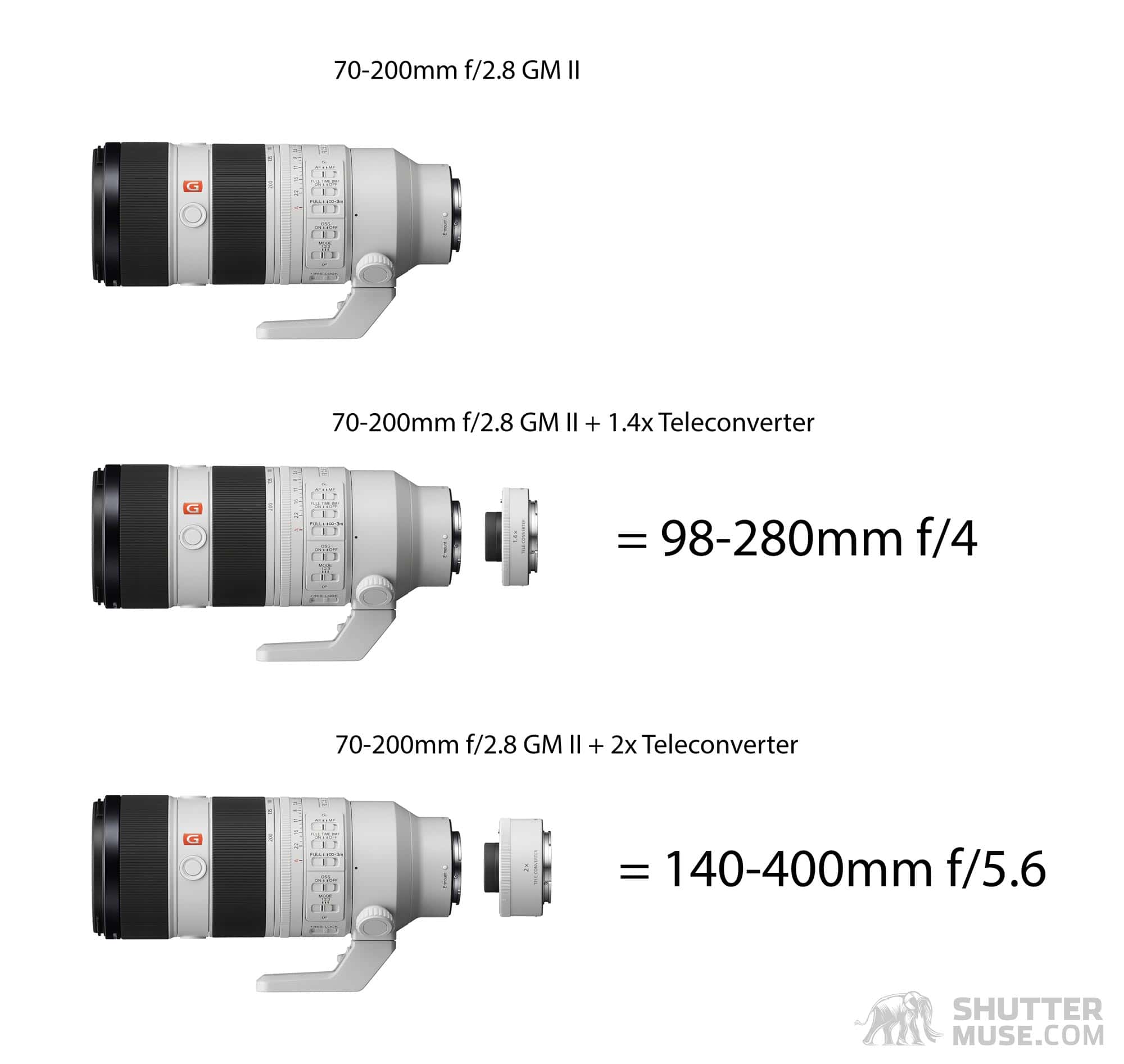 The Best Sony Lenses for Wildlife Photography in 2026
