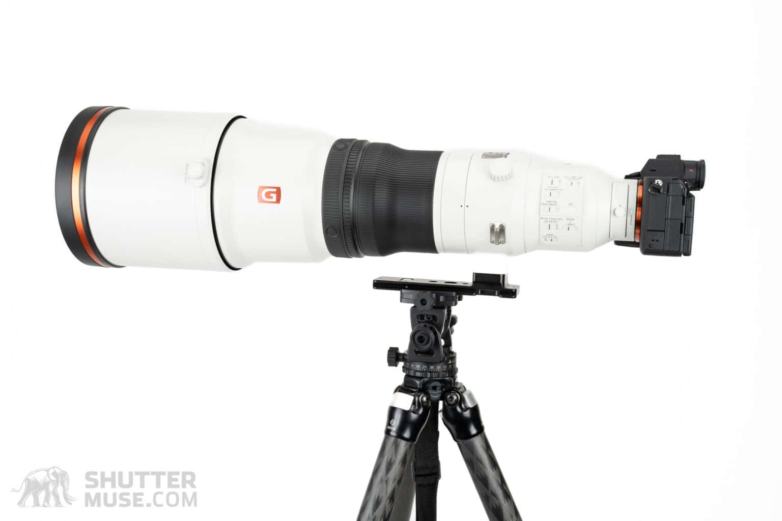 The Best All-In-One Tripod Head for Wildlife and Landscapes