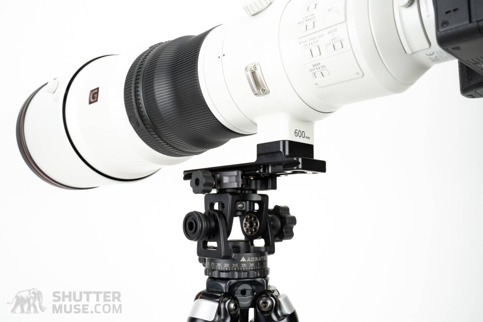 The Best All-In-One Tripod Head for Wildlife and Landscapes