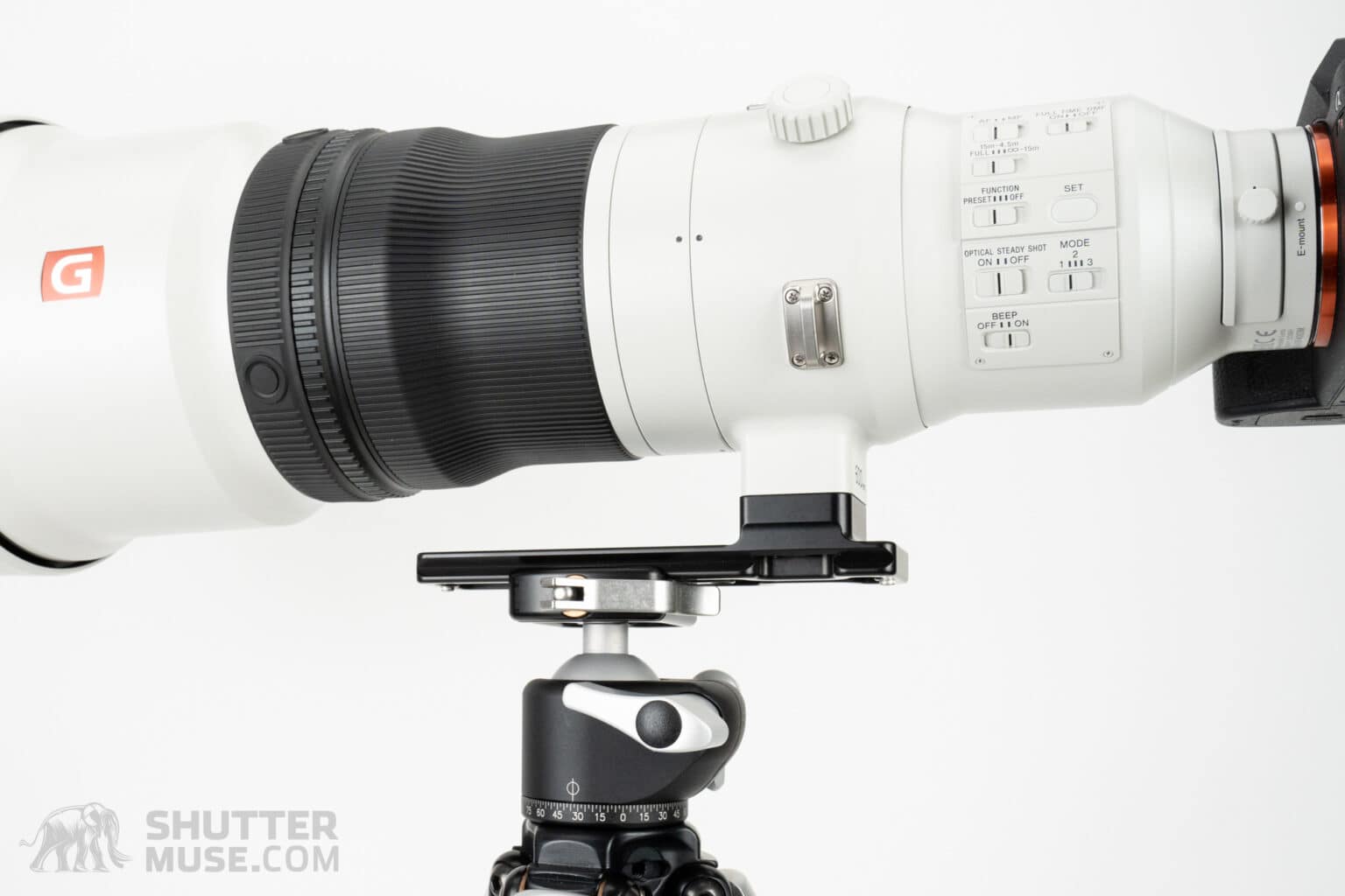 The Best All-In-One Tripod Head for Wildlife and Landscapes