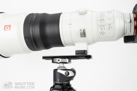 The Best All-In-One Tripod Head for Wildlife and Landscapes