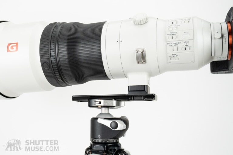 The Best All-In-One Tripod Head for Wildlife and Landscapes