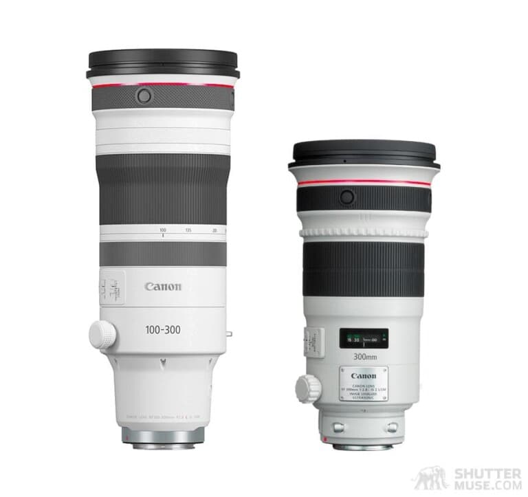 Thoughts on the Canon 100-300mm f/2.8 + Why I Won't Be Buying It