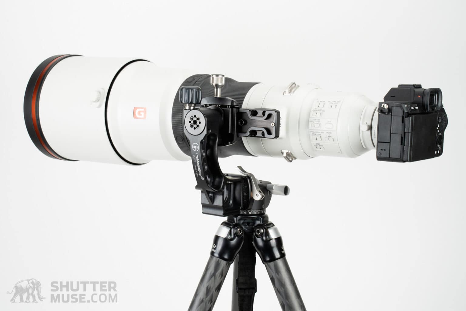 The Best All-In-One Tripod Head for Wildlife and Landscapes